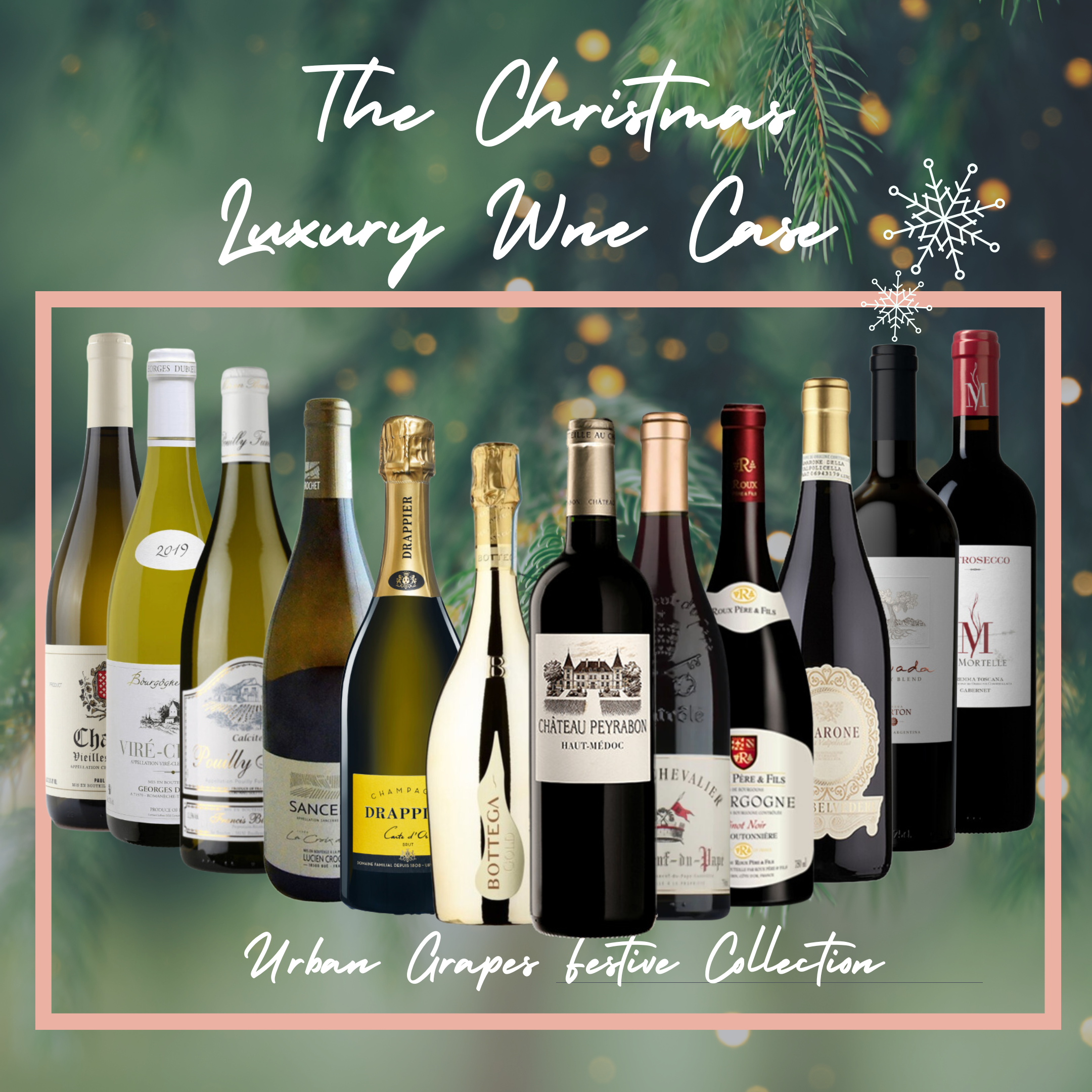 Case of wine store